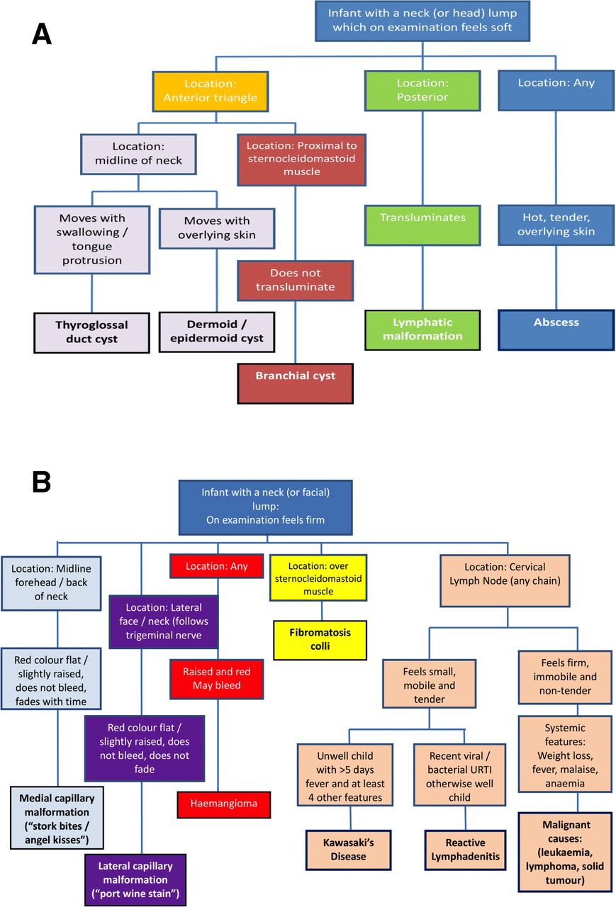 Fifteen-minute consultation: The infant with a neck lump | ADC ...